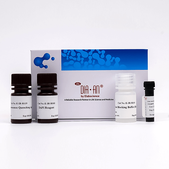 IF相关试剂产品列表_Elabscience伊莱瑞特【官网】