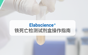 铁死亡检测试剂盒_细胞代谢检测_Elabscience伊莱瑞特【官网】